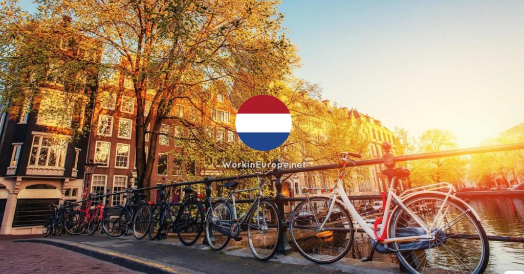 The Dutch Job Market Outlook: Which Roles Are on the 2026 KVK Shortage ...